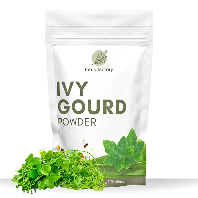 Jiaogulan Powder 100% Organic | Lotus Factory
