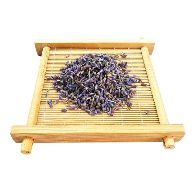 Premium Blue Lotus Flowers • Lotus Factory