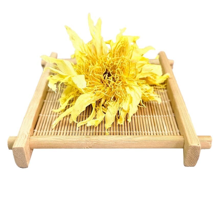 Premium Blue Lotus Flowers • Lotus Factory