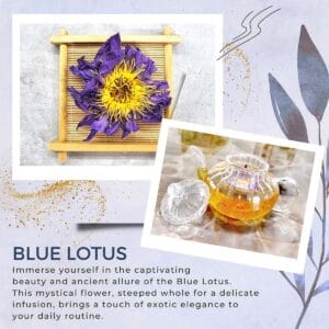 Blue Lotus Dried Flowers 100% Organic • Lotus Factory
