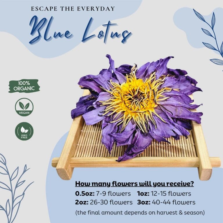 Blue Lotus Dried Flowers 100% Organic • Lotus Factory