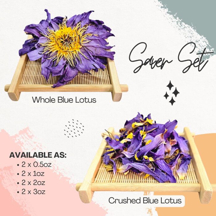 Premium Blue Lotus Flowers • Lotus Factory