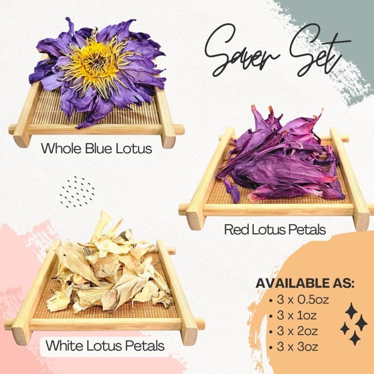 Premium Blue Lotus Flowers • Lotus Factory